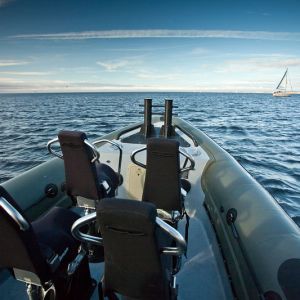 Gallery | Fast Raft Ocean Safaris