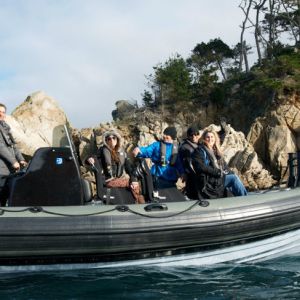 Gallery | Fast Raft Ocean Safaris
