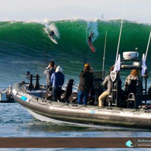 Gallery | Fast Raft Ocean Safaris