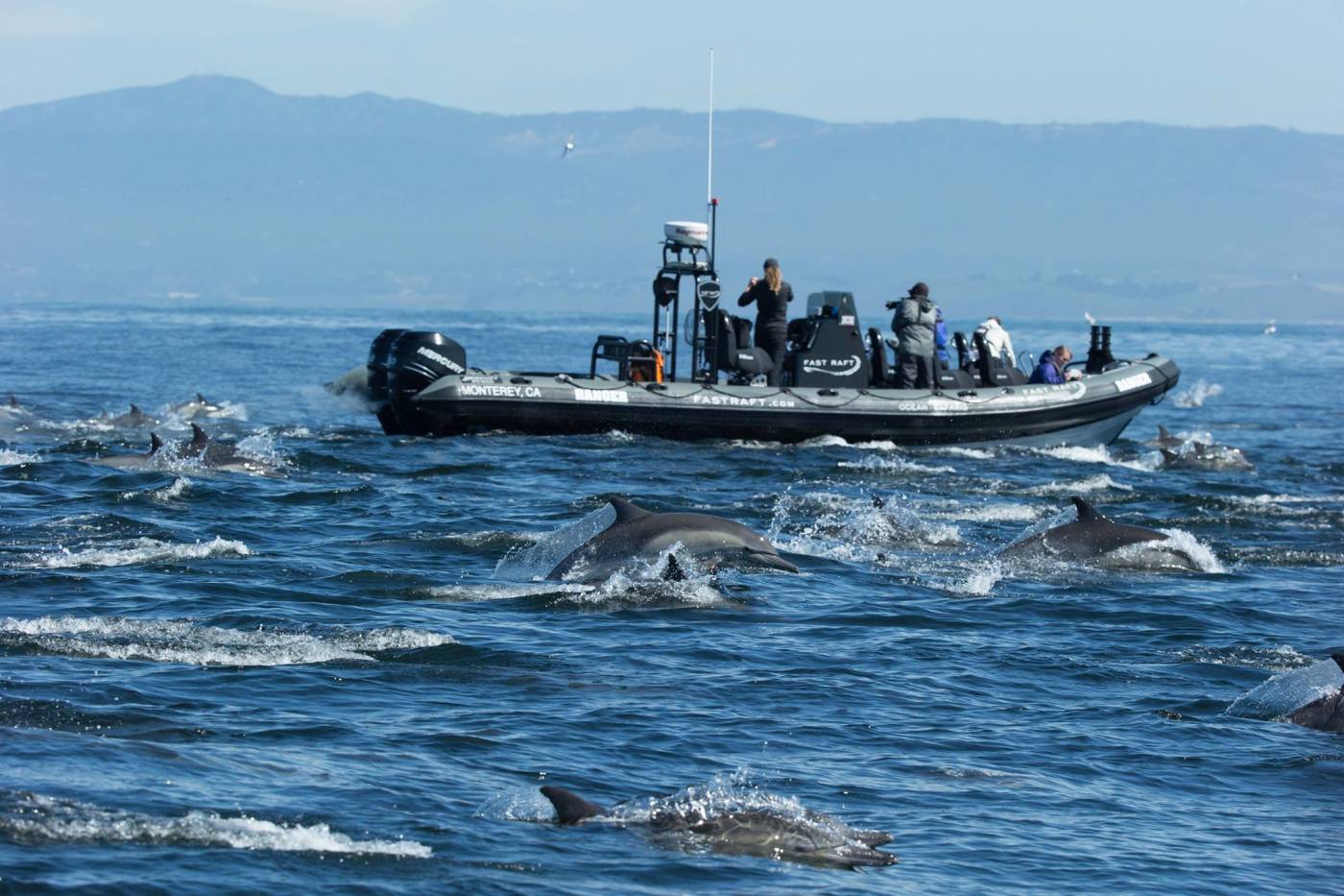 Fast Raft Ocean Safaris | Monterey Bay Whale Watching Boat Tours
