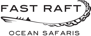 Fast Raft Ocean Safaris | Monterey Bay Whale Watching Boat Tours