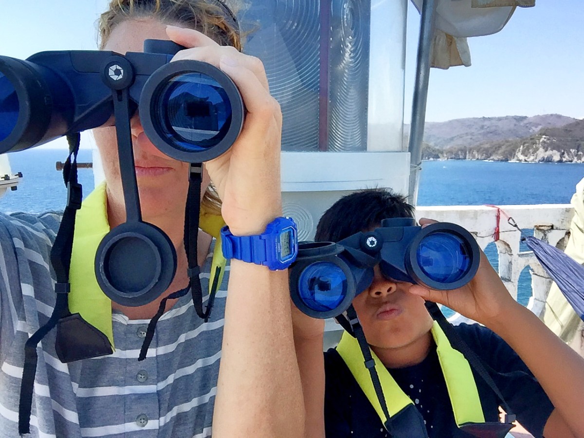 Fast Raft Ocean Safaris | Monterey Bay Whale Watching Boat Tours